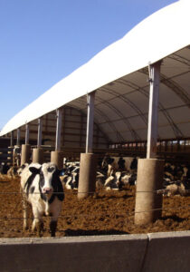 Livestock Barn | Livestock Hoop Buildings | Freedom Buildings